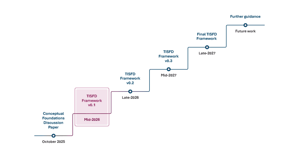 Executive summary - TISFD Framework